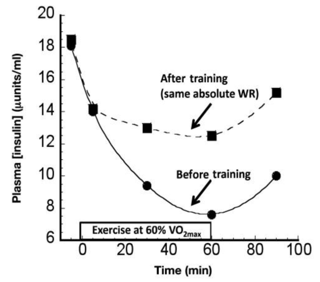 Glucemia durante el ejercicio - Doctor Deporte